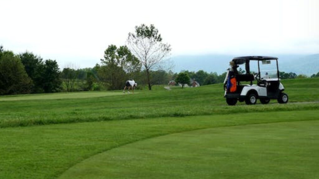 Motor Sports Acetrax Tires for Go Karts, ATVs and Golf Carts